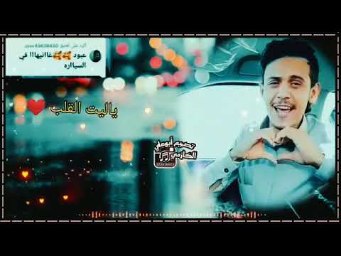 arapça şarkıları Habibi keyf