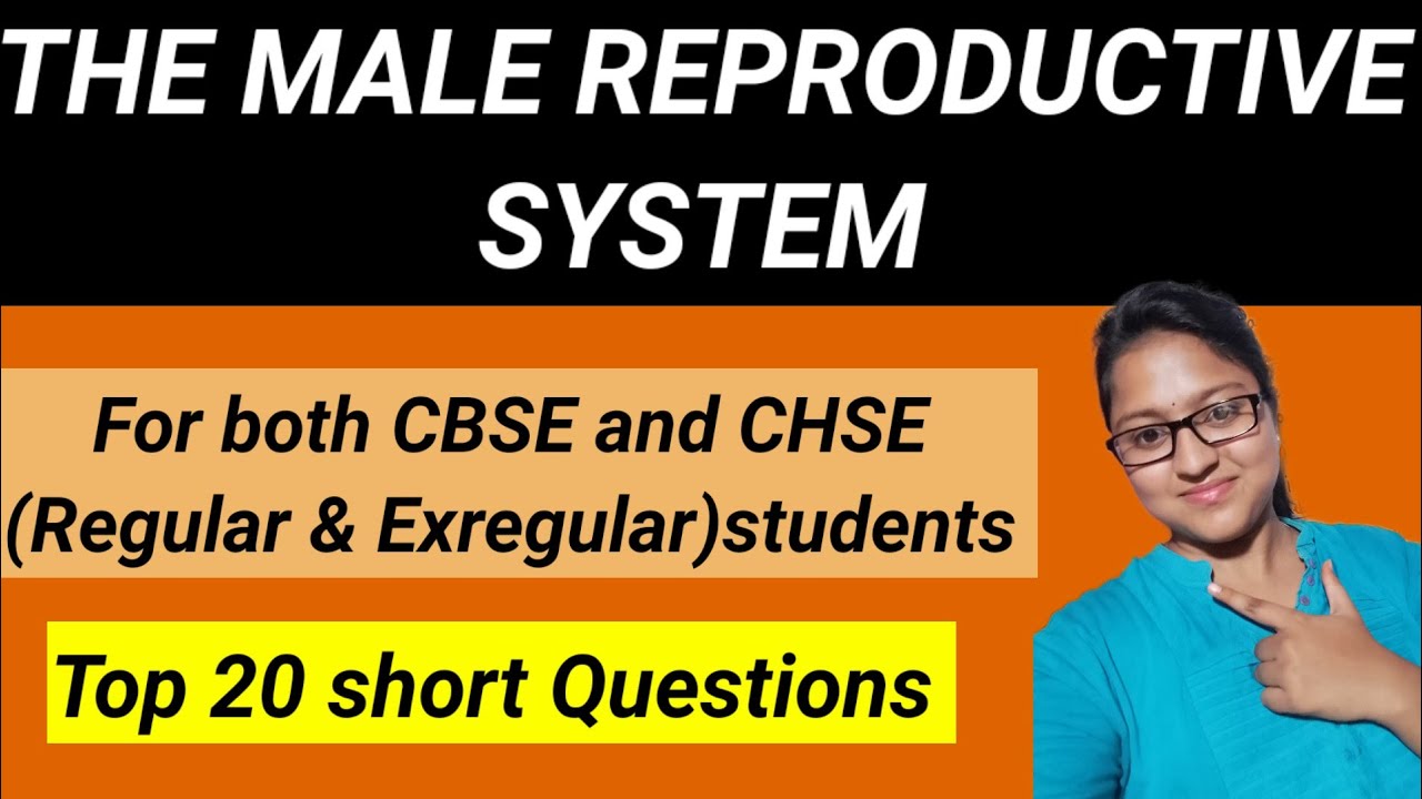 Mcqs of Human Reproduction । Male Reproductive System Complete 💯 - YouTube