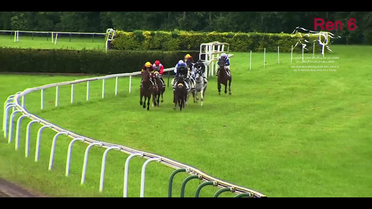 WATHBA STALLIONS CUP - WAREGEM RACECOURSE | 14/05/2024 - YouTube