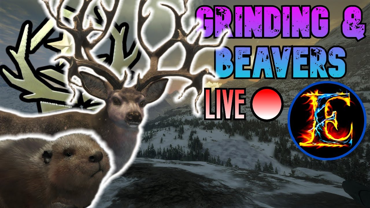 GRINDING FOR MULE DEER #3 And Shooting Beavers! | LIVE | - YouTube