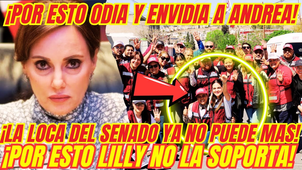 ¡POR ESTO LILLY ENVIDIA MUCHO A ANDREA! ¡TODO TIENE SENTIDO! - YouTube