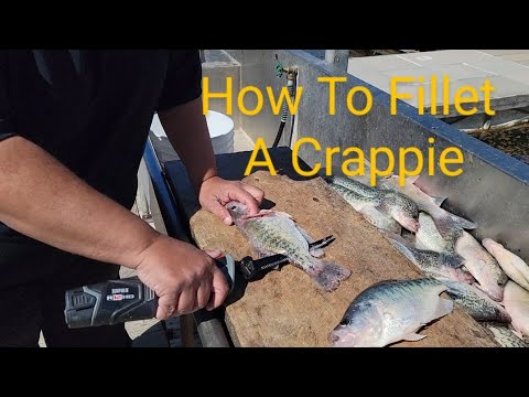 Easy Way To Fillet A Crappie - YouTube