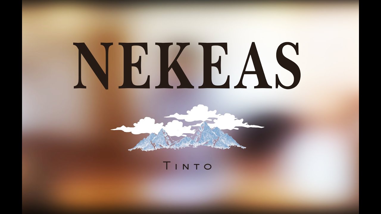 Nekeas - Tinto - Spanish with English Subtitles - YouTube