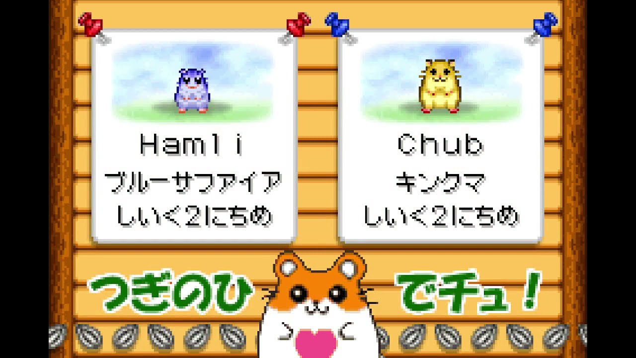 Let's Play GBA 665: Hamster Paradise Advance (J) - YouTube