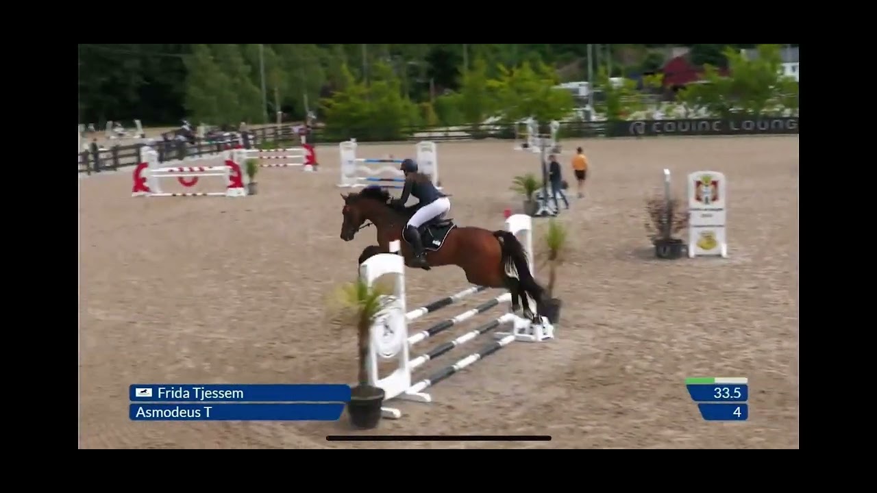 Asmodeus T - 110cm 2. juli 2024 - YouTube