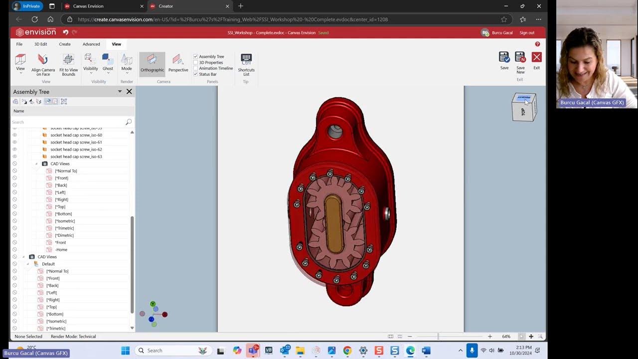Canvas Envision Training - 3D Visualization Techniques - YouTube
