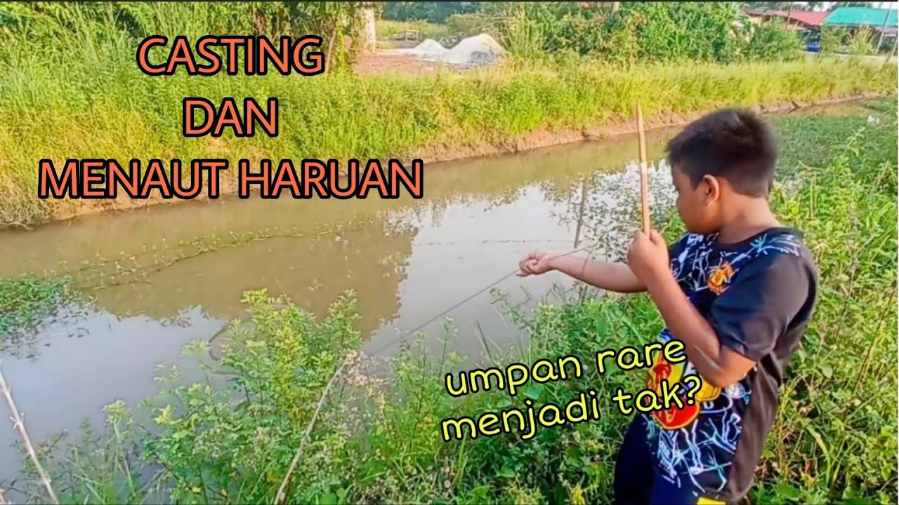 #EP919 Memburu Haruan Menggunakan 3 Teknik Berbeza - YouTube