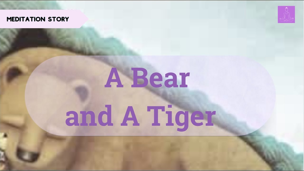 A bear and a tiger | Consistency and Patience are the keys! # ...