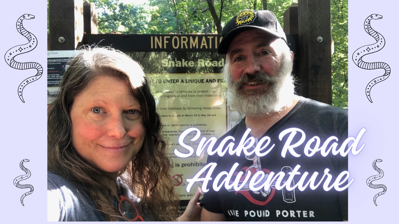 SNAKE ROAD Adventure | Illinois (35 Snakes in 2 days -Cottonmouths ...