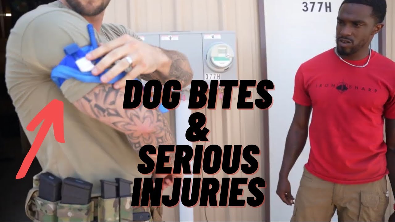 Dog Bites & Serious Injuries (How To Survive) - YouTube