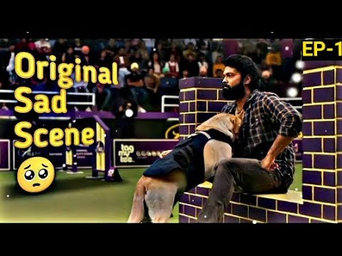 777 Charlie Movie In Hindi।। Most sad sance [ Rakshit,Shetty, emotional scene ] #777charlie
