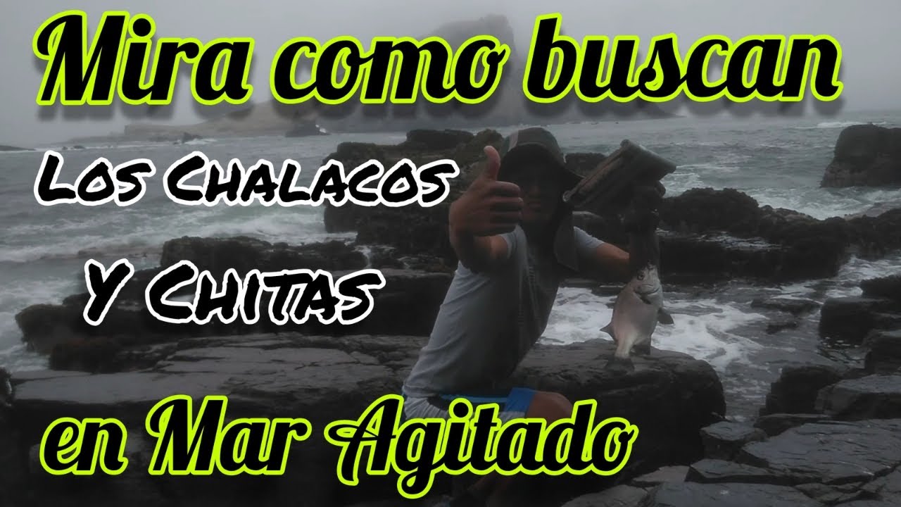PESCA de Chalacos y Chita en Peña con Mar Agitado I Tablita Fishing ...