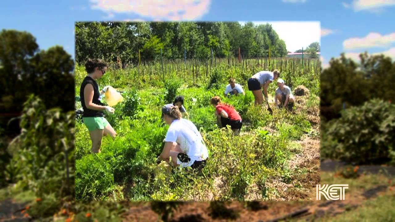 Community Gardens with Jim Embry | Kentucky Life | KET - YouTube