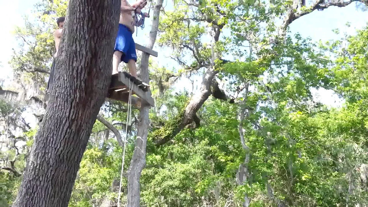 Tree swing fail - YouTube