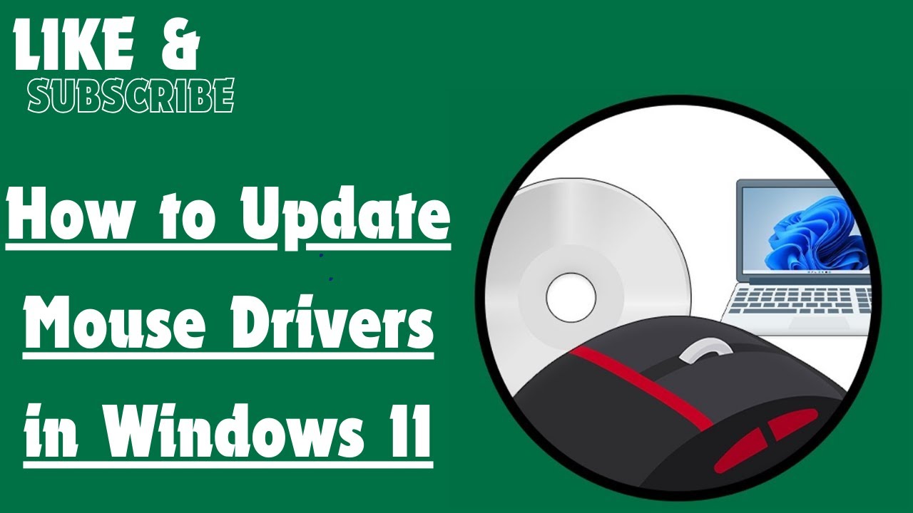 How to Update Mouse Drivers in Windows 11 - YouTube