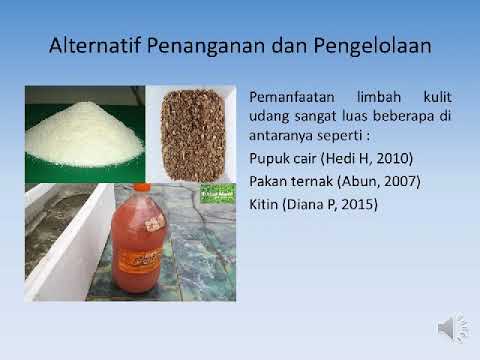 Penanganan dan Pengelolaan Limbah Kulit Udang sebagai Sumber Kitin ...