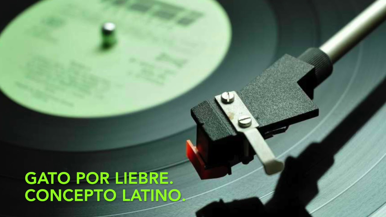GATO POR LIBRE. CONCEPTO LATINO. - YouTube