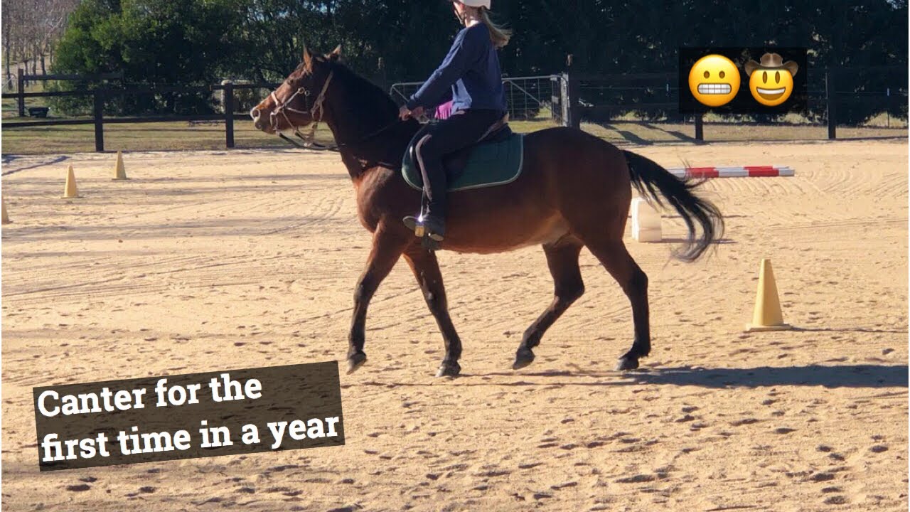 First time cantering !! - YouTube