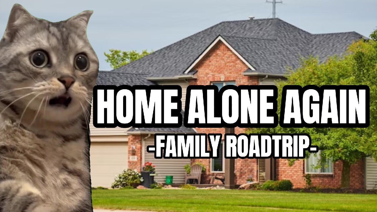 CAT MEMES: THE GREAT ADVENTURE ROADTRIP PT.1 - YouTube