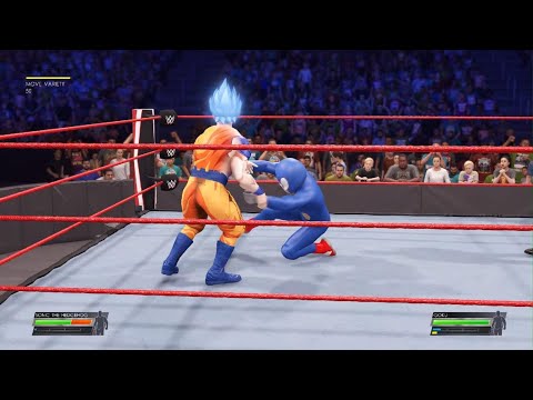 Sonic vs goku for the sonic championship