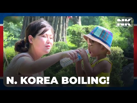 Heatwave grips N. Korea as people try to stay cool with fans, nutritious food