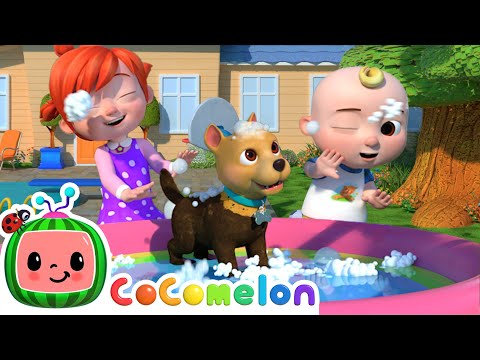 Bingo's Bath Time! | CoComelon Animal Time | Animal Nursery Rhymes