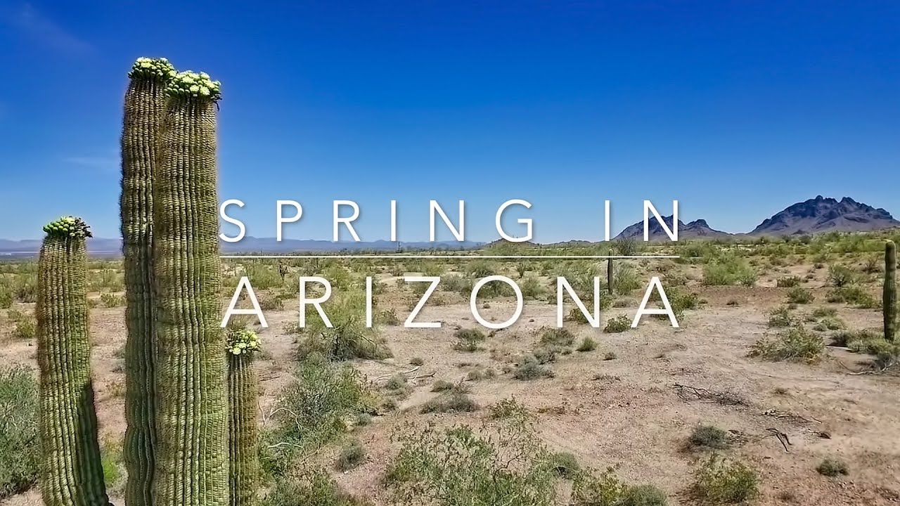Springtime in Arizona - YouTube