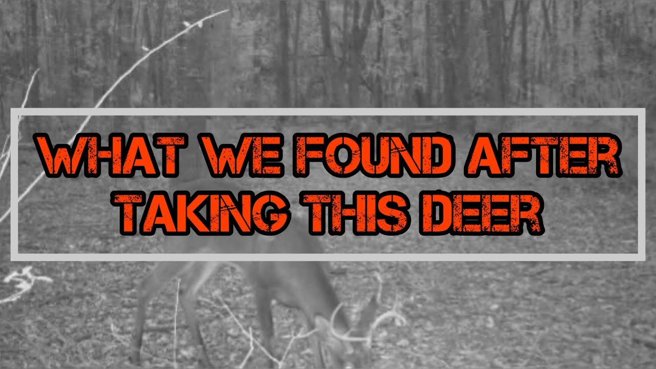 Strange Find While Deer Hunting! - YouTube