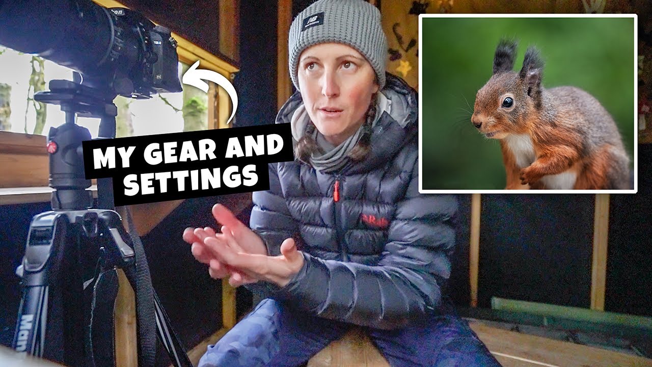 A magical morning with red squirrels + my basic wildlife photography ...