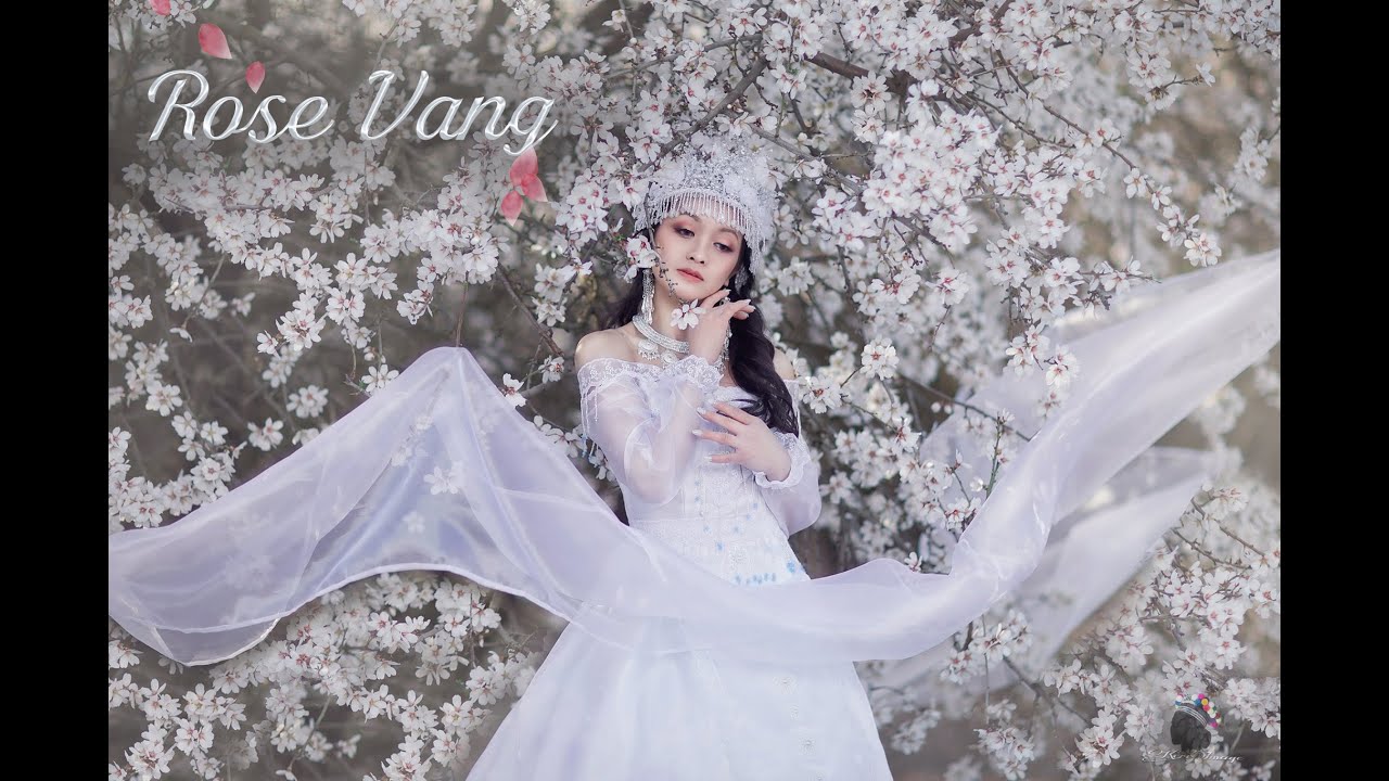 Rose Vang [Cherry Blossom] - YouTube