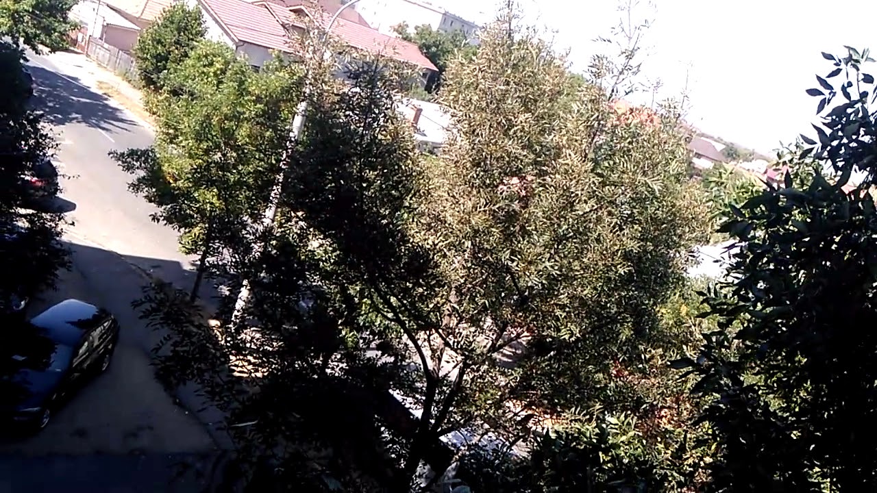 5 GANG - Suna Gami (Teaser) - YouTube