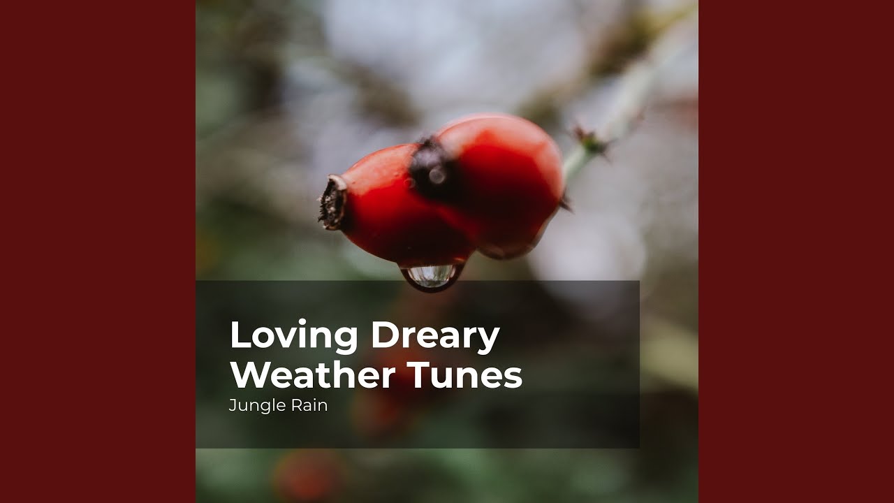 Woodland Plenty Rain - YouTube