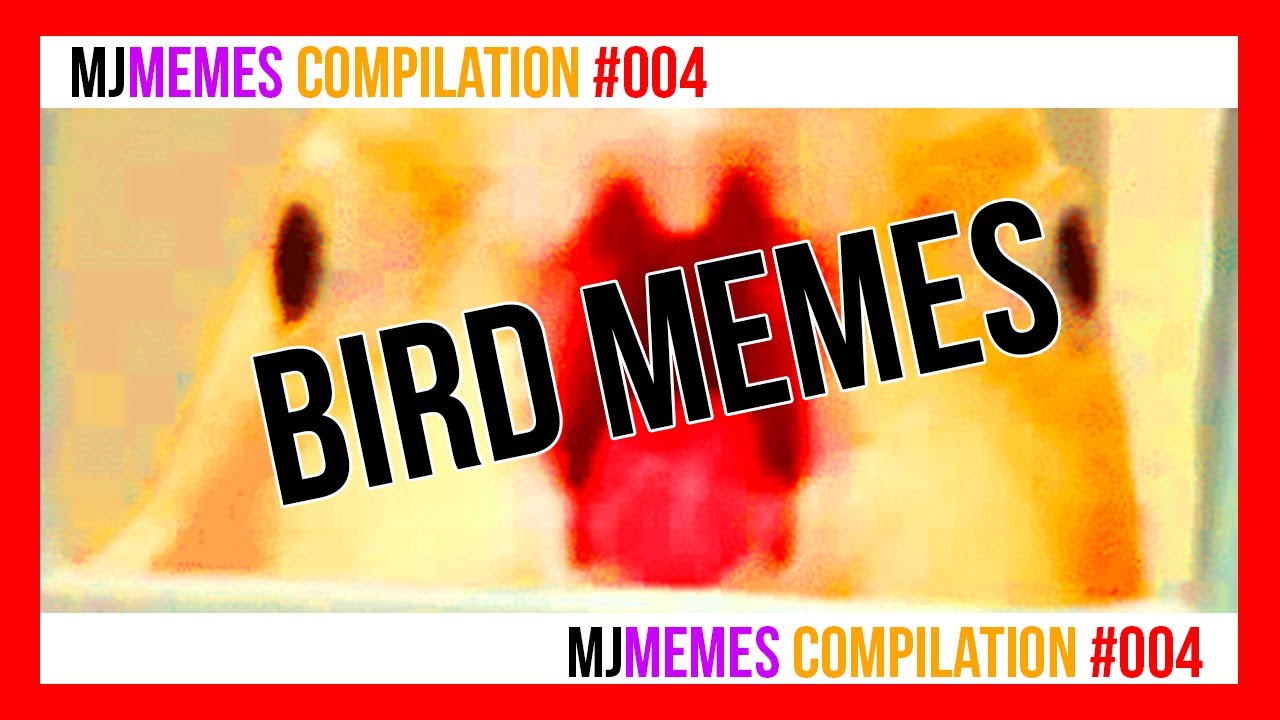 TEN minutes of DANK BIRB MEMES 🐦 - 10 min ⏳ | MJMemes compilation #004 ...
