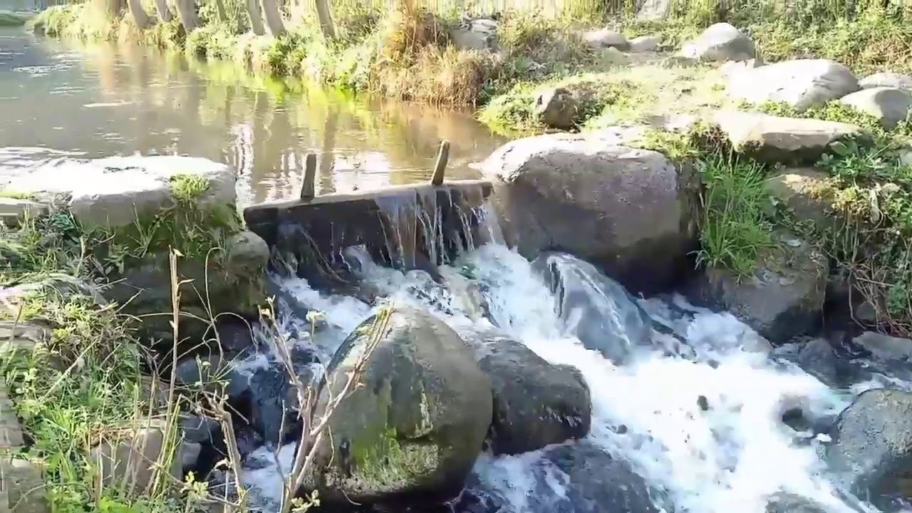 Bunir beauty torghar side - YouTube