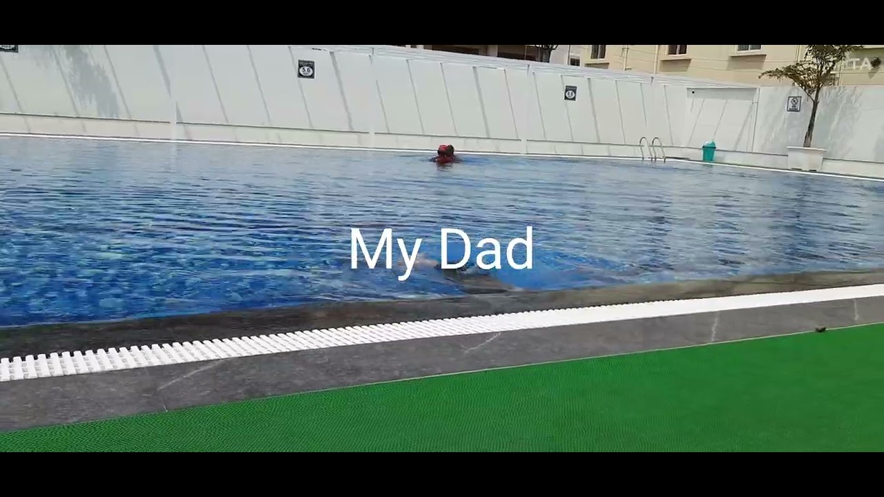 Swimming Fun at Golden Fins Swimming Academy | Family Swim Day! - YouTube