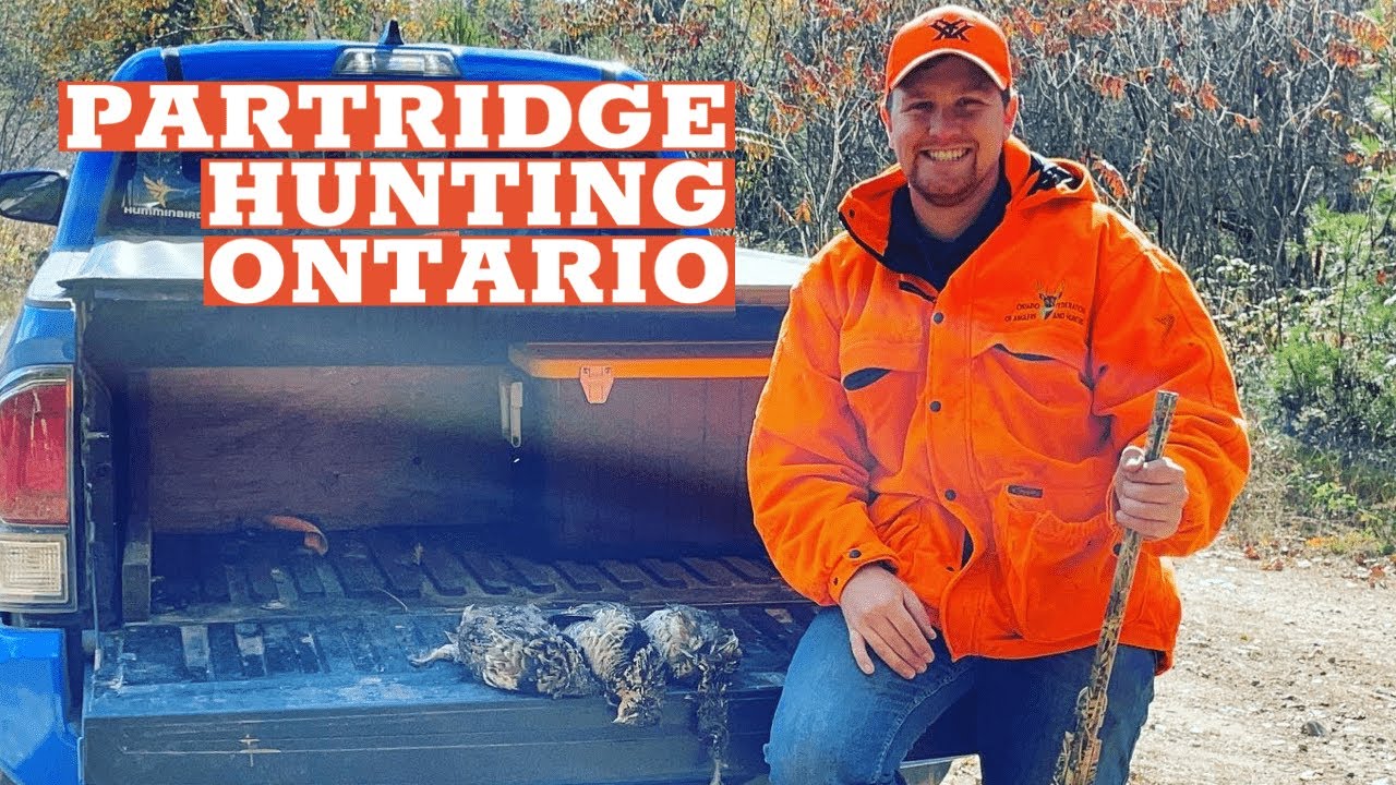 Partridge (Grouse) Hunting Ontario | Early Season - YouTube