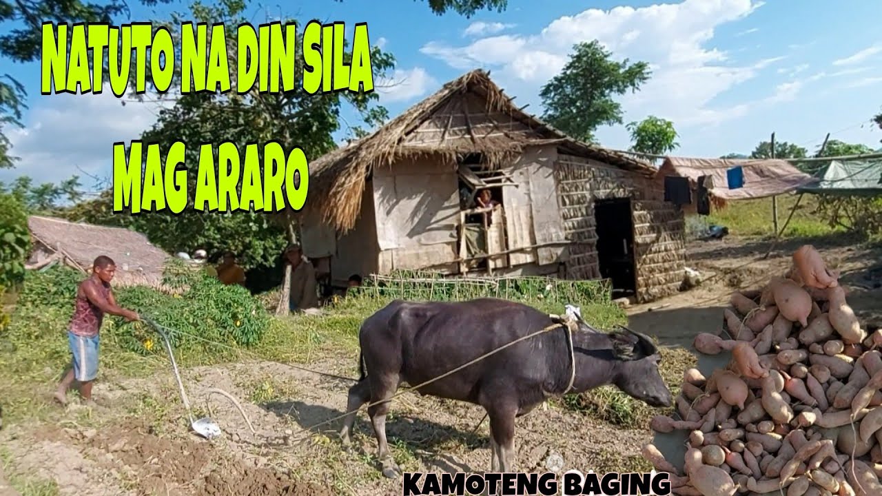 SILA ANG KATUTUBONG NATUTO NA SA PAGBUBUKID|BUHAY PROBINSYA - YouTube