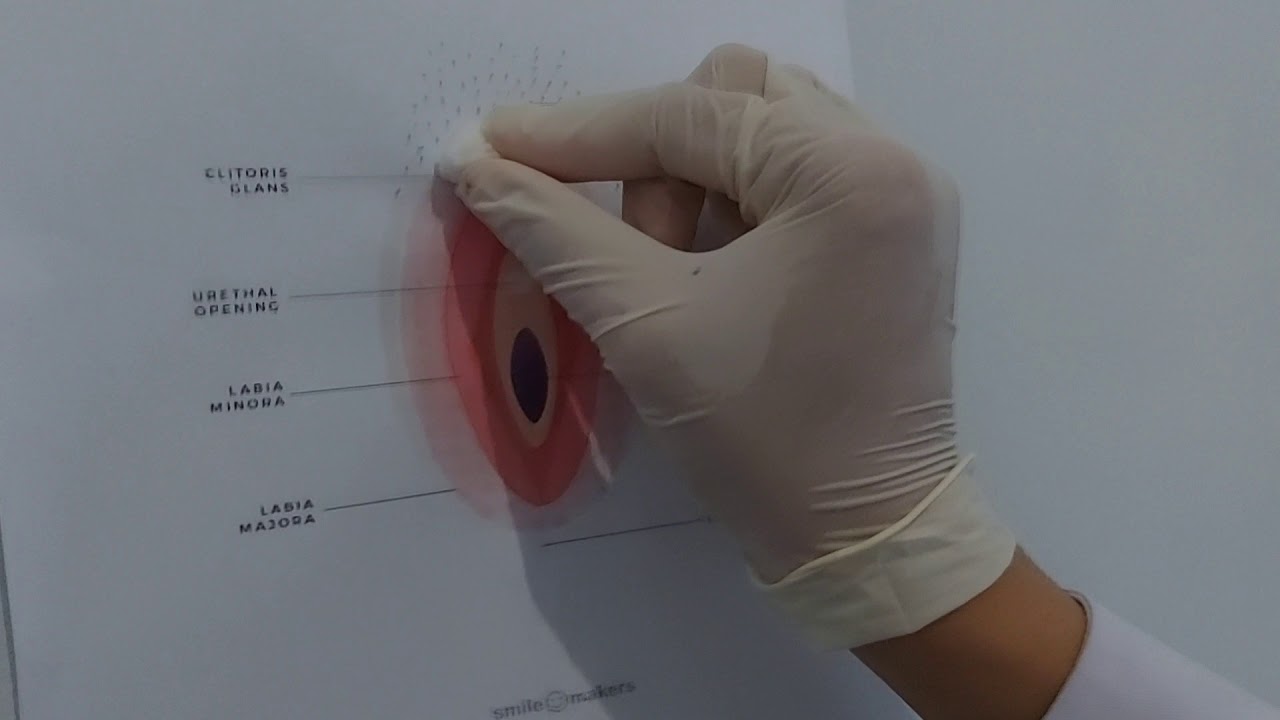 Vulva Hygiene Youtube