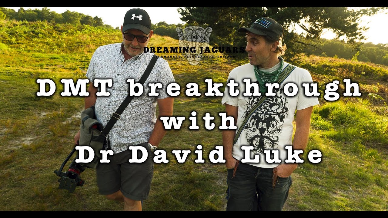 DMT breakthrough with Dr David Luke - YouTube