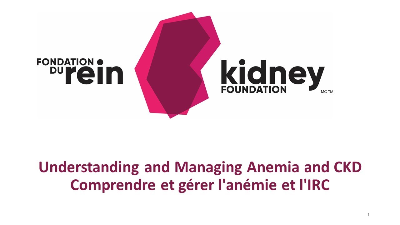Kidney Foundation Logo Catwalk For Kidneys Sunday, Nov 8, 2020