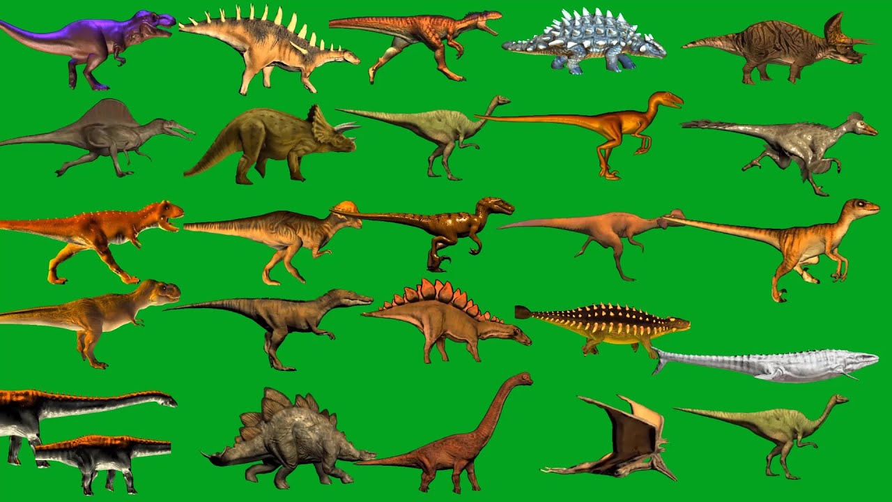 Top 25 Dinosaurus Jurasic Animals Line Running Walking Green Screen HD ...