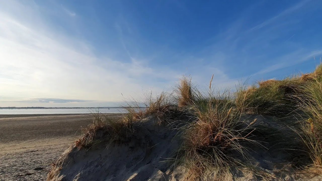 Relaxing distant ocean waves ambience (4k) - ocean, crickets, seagulls ...