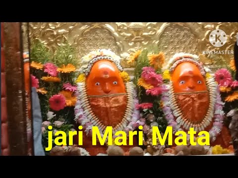 jari Mari Mata ji fun with family #viral #fun - YouTube