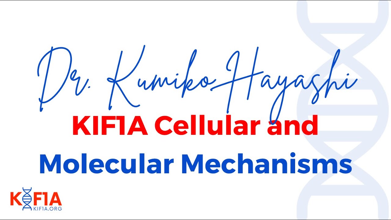 A counting method of the number of KIF1A motors in charge of axonal ...
