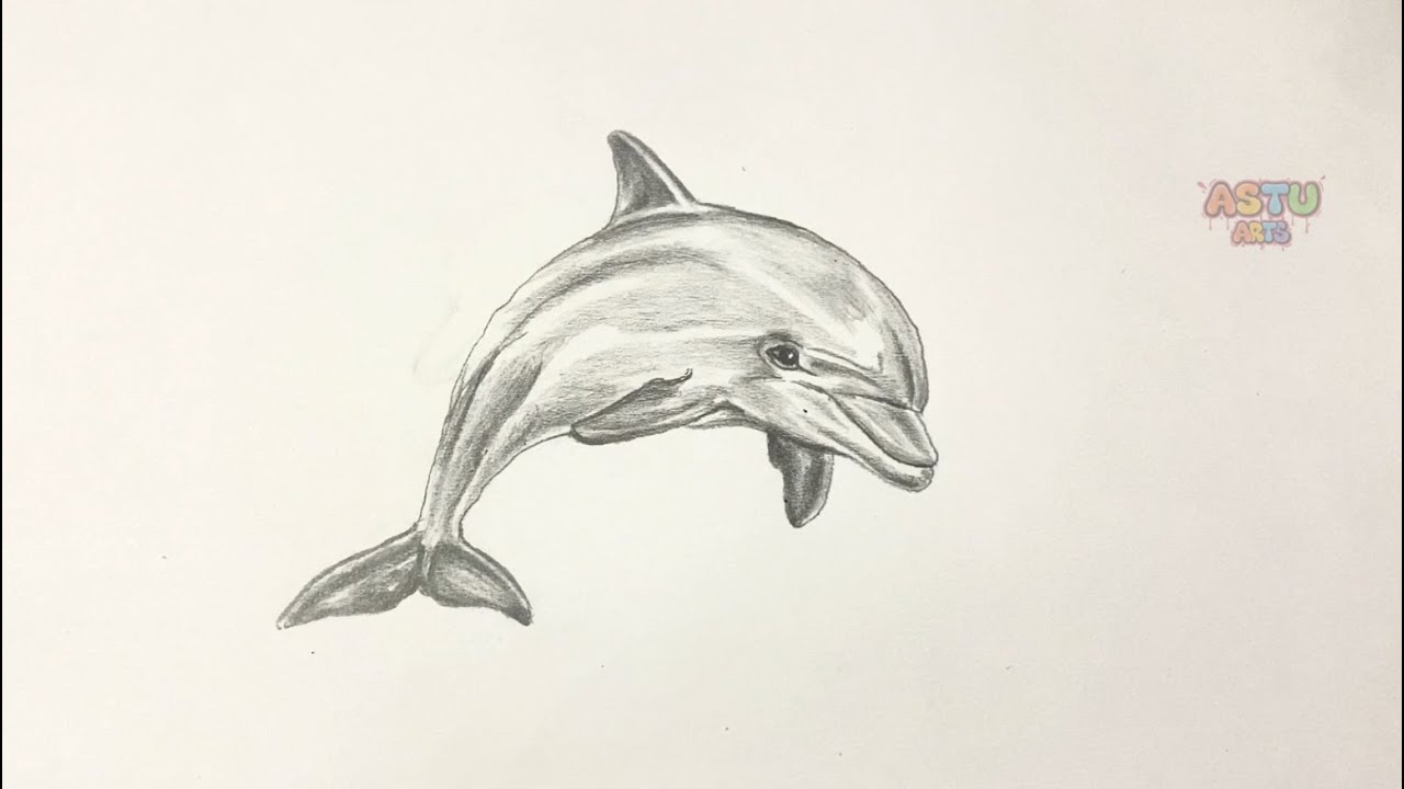 Pencil Shading Dolphin Art | Pencil Sketch | EASY Drawing #drawing # ...