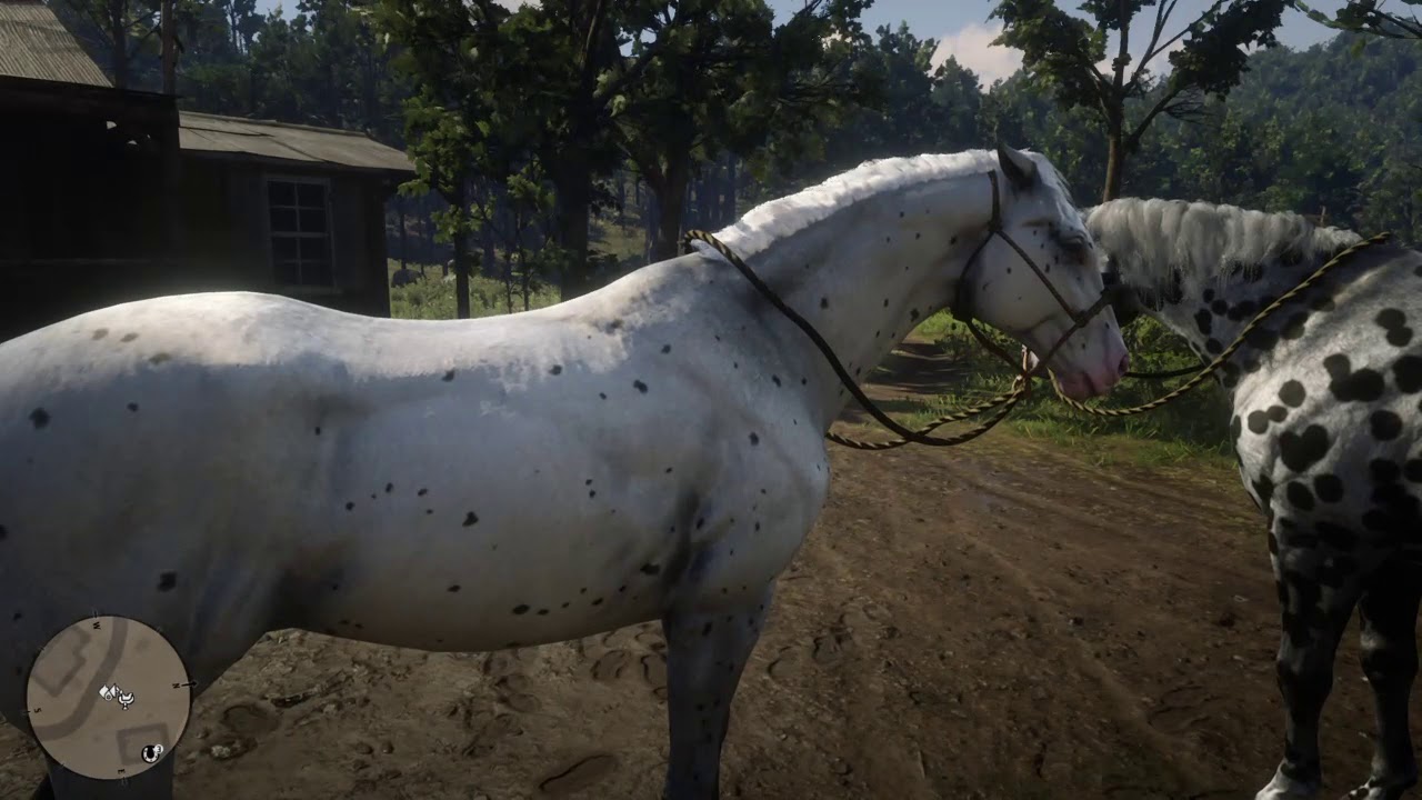 Red Dead Redemption 2 Story _ Few Spot Appaloosa Horse VS Leopard ...