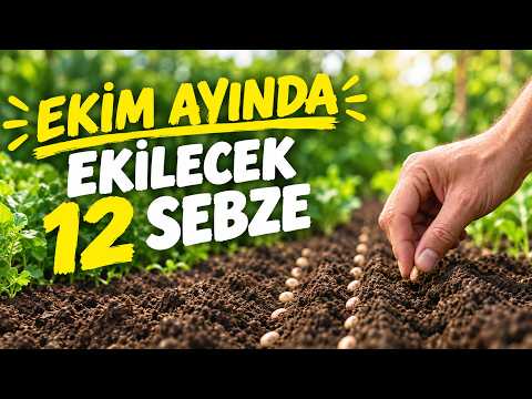 Ekim Ayı Hangi Sebzeler Ekilir? Ekim Ayı Ekilecek 12 Sebze! 