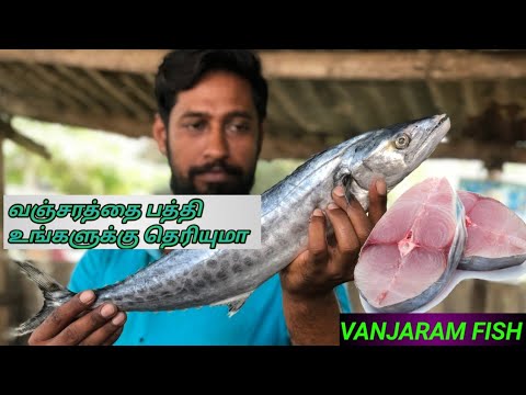 vanjaram fish cutting skills|vanjaram meen cutting amazing live in ...