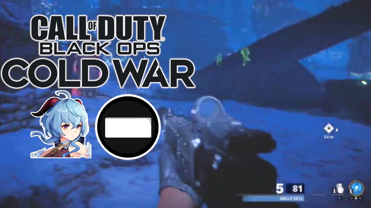Cross-Platform Tutorial - COD: Black Ops Cold War Zombies - YouTube