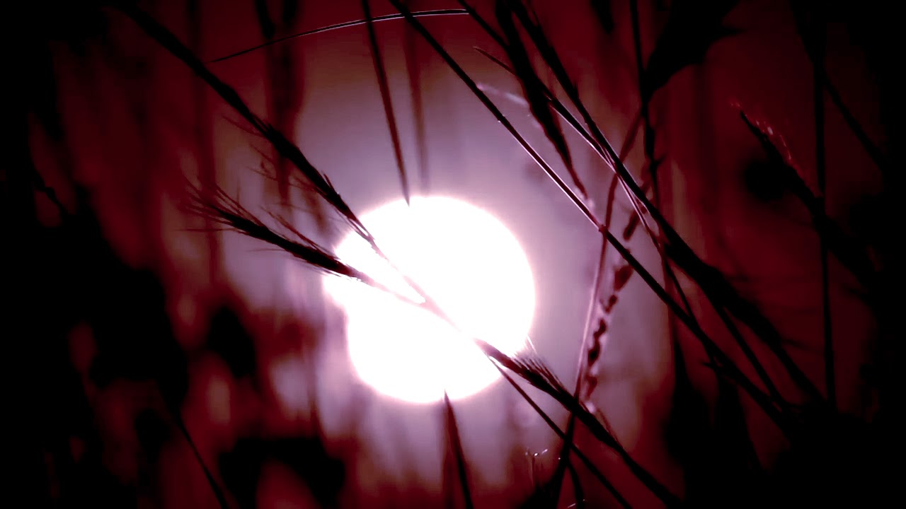 [FREE] emo / fufu lame ass type beat - YouTube